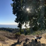 Paseo Miramar Trail , California - 2,020 Reviews, Map | AllTrails