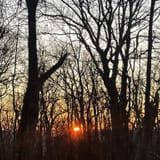 Riprap Trail , Virginia - 1,478 Reviews, Map | AllTrails