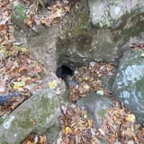 Blue Hole Trail to Ellisons Cave, Georgia - 106 Reviews, Map | AllTrails