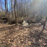 Blue Hole Trail to Ellisons Cave, Georgia - 106 Reviews, Map | AllTrails