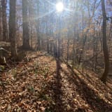 Blue Hole Trail to Ellisons Cave, Georgia - 106 Reviews, Map | AllTrails