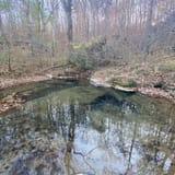 Blue Hole Trail to Ellisons Cave, Georgia - 106 Reviews, Map | AllTrails