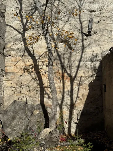 Best Hikes and Trails in Fiborn Karst Preserve | AllTrails