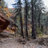 Secret Canyon Trail, Arizona - 152 Reviews, Map | AllTrails