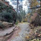 Secret Canyon Trail, Arizona - 152 Reviews, Map | AllTrails