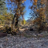 Secret Canyon Trail, Arizona - 133 Reviews, Map | AllTrails