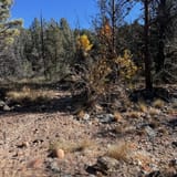 Secret Canyon Trail, Arizona - 152 Reviews, Map | AllTrails