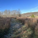 Two Lakes Loop Trail, Indiana - 499 Reviews, Map | AllTrails