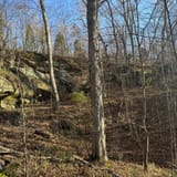 Two Lakes Loop Trail, Indiana - 499 Reviews, Map | AllTrails