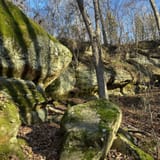 Two Lakes Loop Trail, Indiana - 499 Reviews, Map | AllTrails