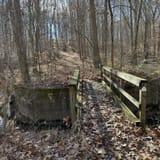 Two Lakes Loop Trail, Indiana - 554 Reviews, Map | AllTrails