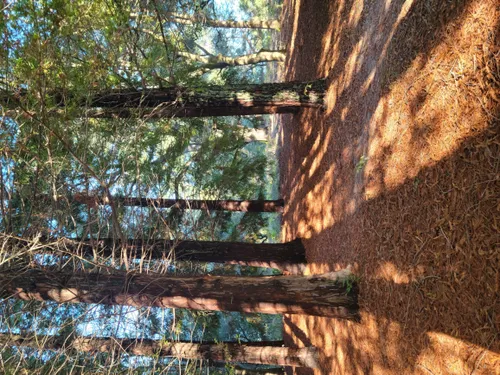 Best Hikes and Trails in Ragle Ranch Regional Park | AllTrails