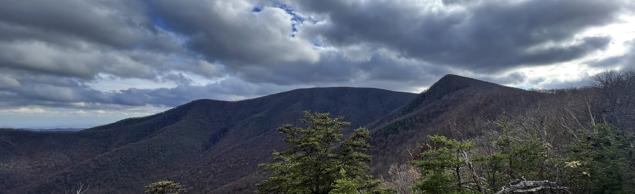 Crabtree Meadows to Pinnacle Rocks, Virginia - 59 Reviews, Map | AllTrails
