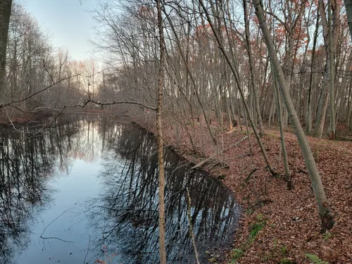 Best Hikes and Trails in Mercer County Park | AllTrails