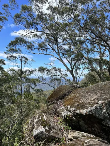 Best Hikes and Trails in Mount Royal National Park | AllTrails