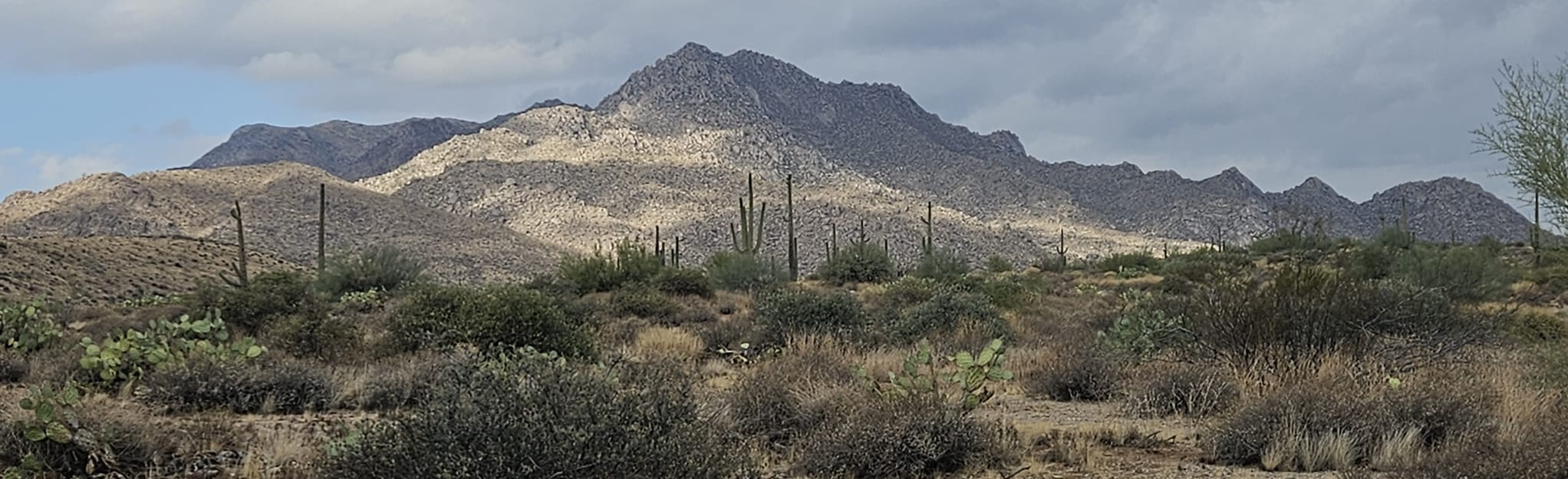 Dixie Mine Trail, Arizona - 154 Reviews, Map | AllTrails