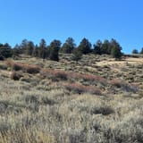 Link River Trail, Oregon - 480 Reviews, Map | AllTrails