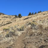 Hogback Mountain, Oregon - 421 Reviews, Map | AllTrails