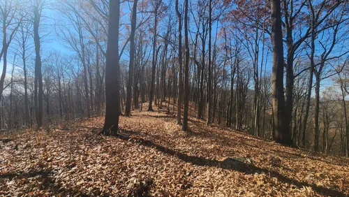 10 Best Hikes and Trails in Frozen Head State Park | AllTrails