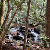 Alarka Creek Falls, North Carolina - 306 Reviews, Map | AllTrails