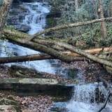 Alarka Creek Falls, North Carolina - 306 Reviews, Map | AllTrails