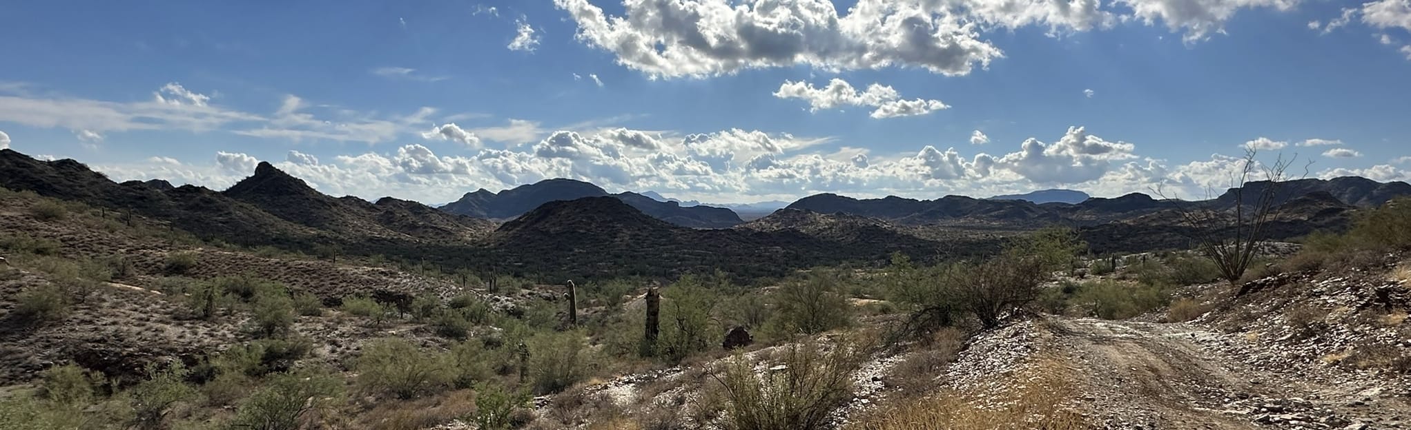 Vulture Mine Adventure OHV Ride, Arizona - 66 Reviews, Map | AllTrails