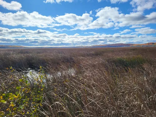 Best Hikes and Trails in Wye Marsh National Wildlife Area | AllTrails