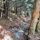 Mount Buckley via Clingmans Dome Bypass Trail, North Carolina - 886 ...