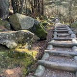 Mount Buckley via Clingmans Dome Bypass Trail, North Carolina - 886 ...