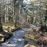 Mount Buckley via Clingmans Dome Bypass Trail, North Carolina - 886 ...