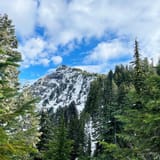 Mount Dickerman Trail, Washington - 1,492 Reviews, Map | AllTrails