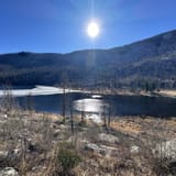 Cub Lake Loop, Colorado - 1,902 Reviews, Map | AllTrails