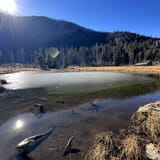 Cub Lake Loop, Colorado - 1,902 Reviews, Map | AllTrails