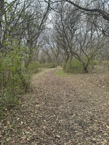 Best Hikes and Trails in Friendship Park | AllTrails