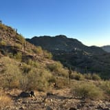 Ruth Hamilton Trail, Arizona - 2,727 Reviews, Map | AllTrails