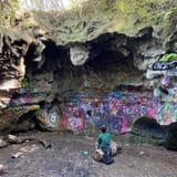 Dames Cave, Florida - 575 Reviews, Map | AllTrails