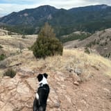 Walker Ranch Loop, Colorado - 4,376 Reviews, Map | AllTrails