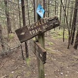 Spruce Knob via Huckleberry Trail, West Virginia - 401 Reviews, Map ...