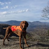 Prospect Rock Trail, Vermont - 851 Reviews, Map | AllTrails