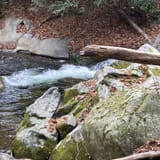 Mouse Creek Falls via Big Creek Trail, Tennessee - 2,538 Reviews, Map ...