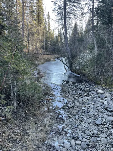 Best Hikes and Trails in Sundre Natural Area | AllTrails