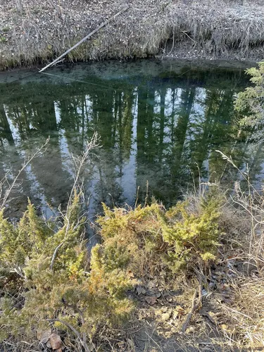 Best Hikes and Trails in Sundre Natural Area | AllTrails