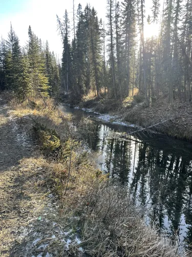 Best Hikes and Trails in Sundre Natural Area | AllTrails