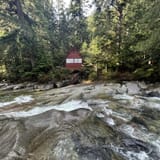 Franklin Falls Trail, Washington - 4,943 Reviews, Map | AllTrails