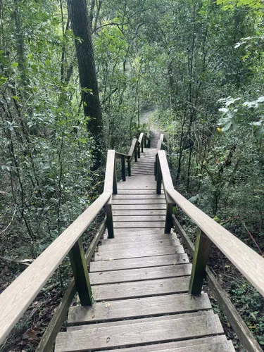 Best Hikes and Trails in Ravine Gardens State Park | AllTrails