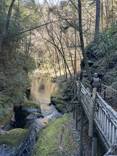 Best Hikes and Trails in Bushkill Falls | AllTrails