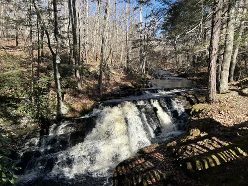 Best Hikes and Trails in Bushkill Falls | AllTrails