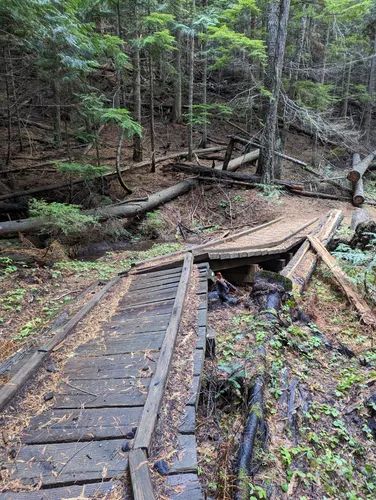 Best Forest Trails in Harvard | AllTrails