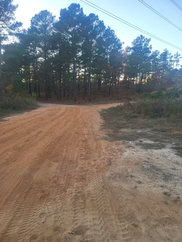 Best Forest Trails in Fort Bragg | AllTrails