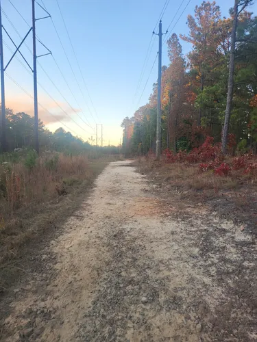 Best Forest Trails in Fort Bragg | AllTrails